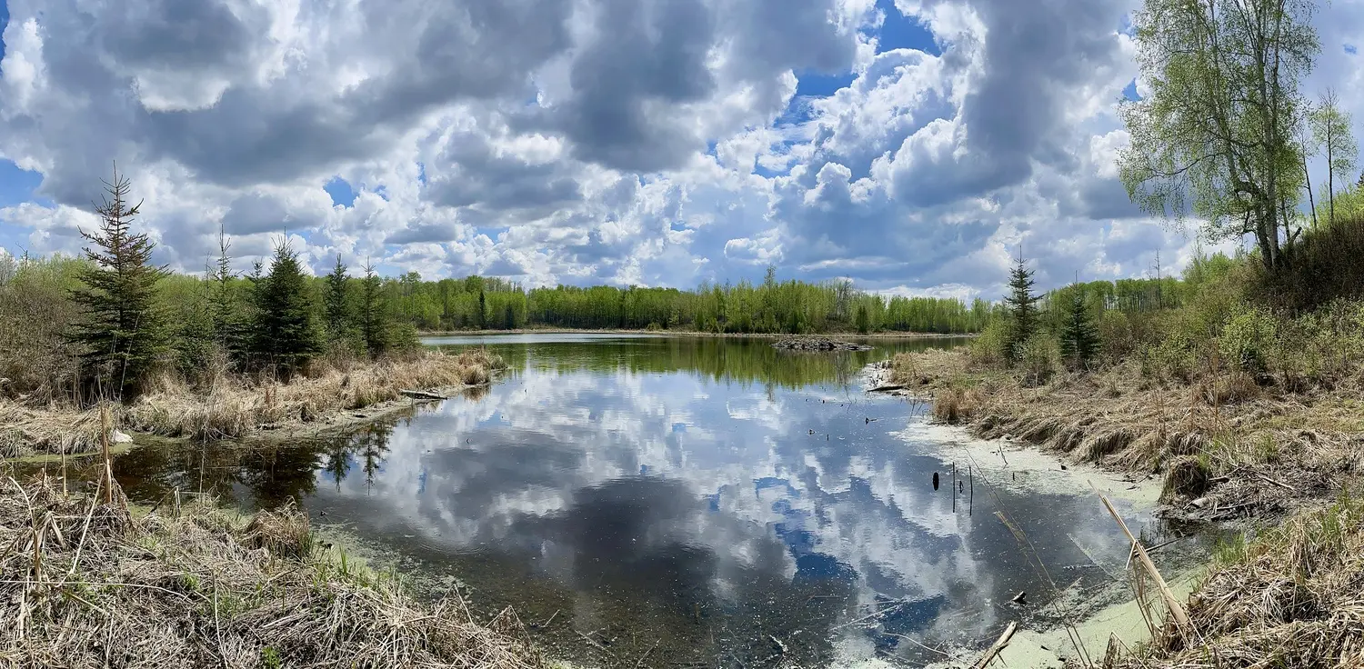 Ministik Hike to Dorward Lake for Two Challenge Caches · Grant's Tracks